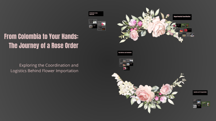 From Colombia to Your Hands: The Journey of a Rose Order by Fran ...