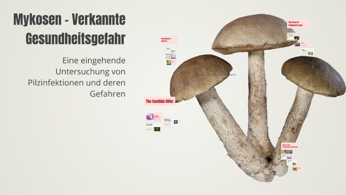 Mykosen – Verkannte Gesundheitsgefahr by M. Wal on Prezi