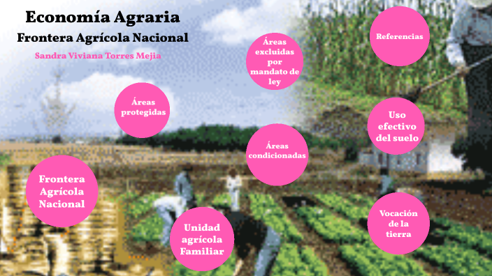 Economía Agraria by Sandra Viviana Torres Mejia on Prezi