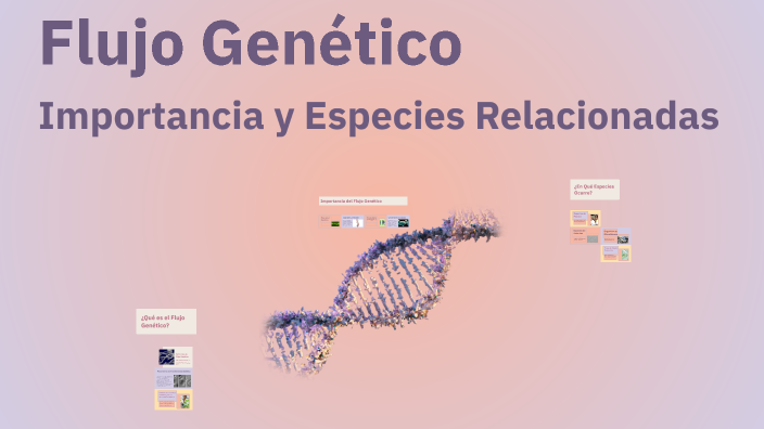 Flujo Genético by Brayan Castellano Rua on Prezi