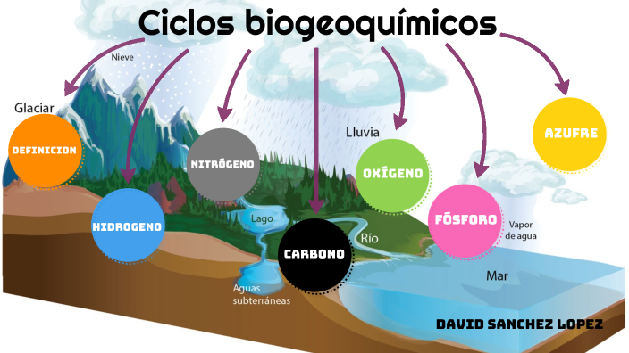 CICLOS BIOGEOQUIMICOS by Karla Sanchez on Prezi