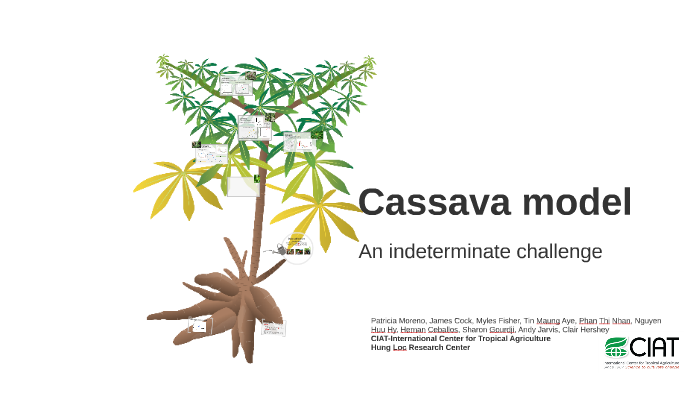 Cassava model by Patricia Moreno on Prezi