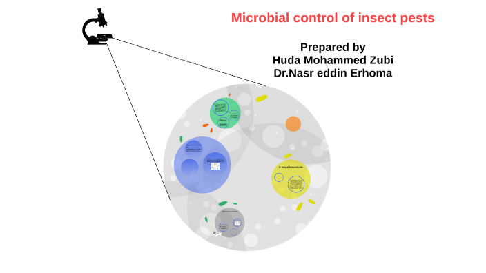 Microbial control of insect pests by Huda Mohammed on Prezi