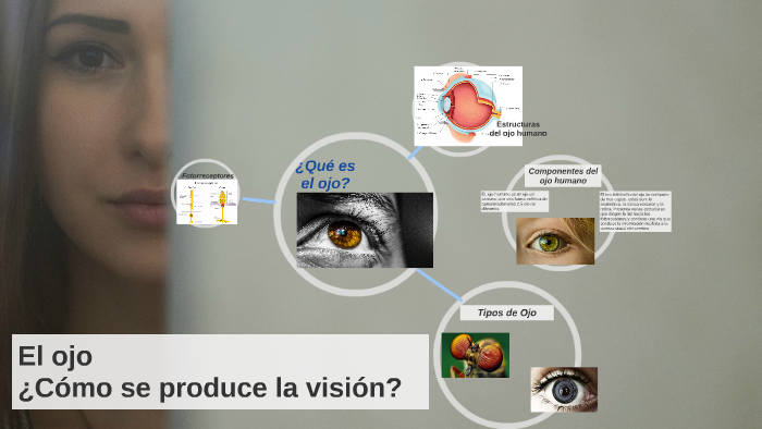 EL OJO Y LA VISION HUMANA by luis carrasco contreras on Prezi