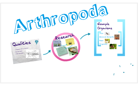 Arthropoda (insects) by Jared Marcotte on Prezi
