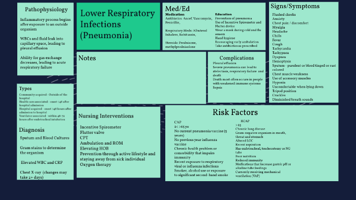 LRI Concept Map CLASS by Jaicey Bowers on Prezi
