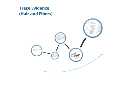 Trace Evidence (Hair and Fibers) by Alyssa Horton on Prezi