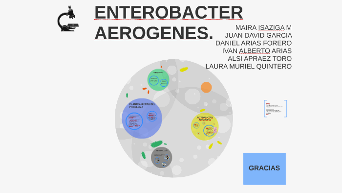 Morfologia De Enterobacter Aerogenes