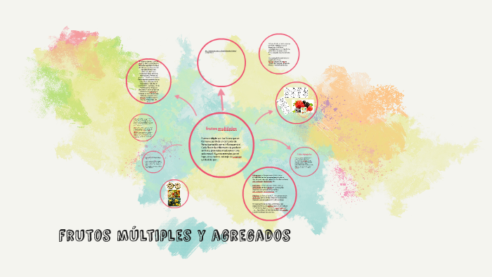 frutos multiples y agregados by nicole polanco on Prezi