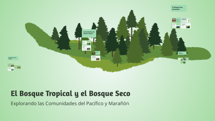 El Bosque Tropical y el Bosque Seco by Katherine Bautista Canahuire on ...