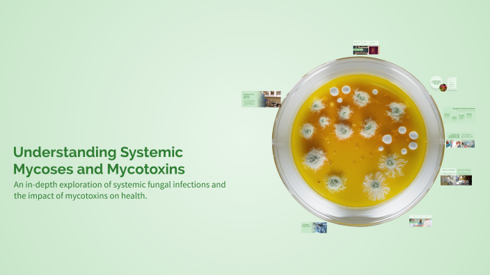 Understanding Systemic Mycoses and Mycotoxins by Md. Mahmudul Hasan on ...