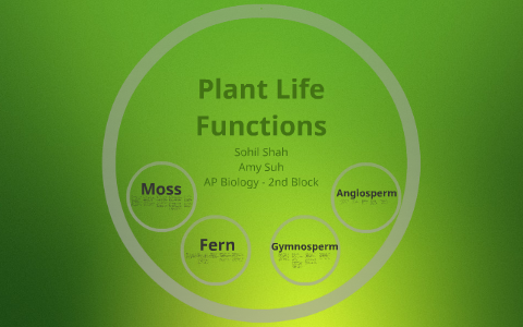 The Life Function of Plants by on Prezi