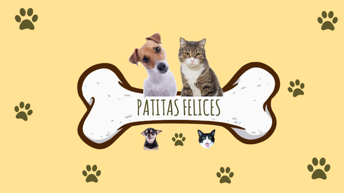 PATITAS FELICES by melody soto pineda on Prezi