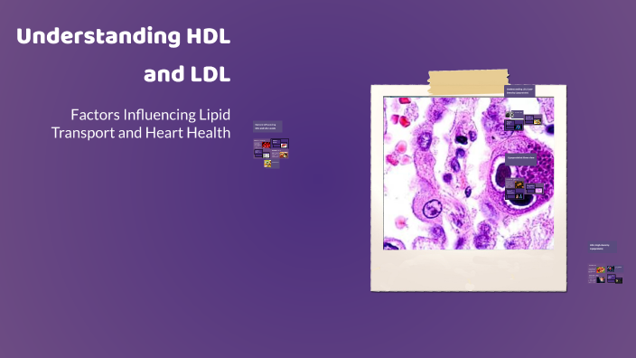 Understanding HDL and LDL by Samara Harris on Prezi