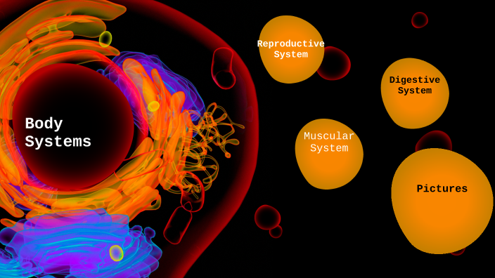 Body Systems by Cash Morgan on Prezi