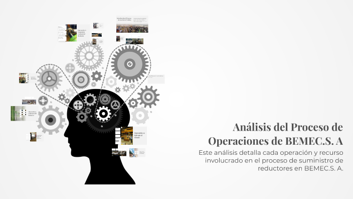 Análisis del Proceso de Operaciones de BEMEC.S. A by Celeste Garcia on ...