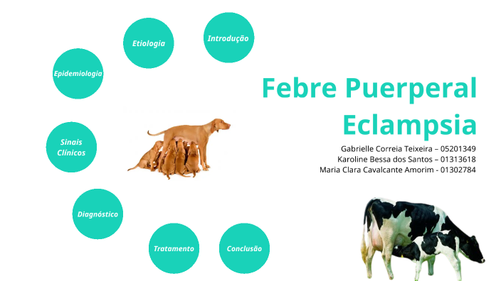 Febre Puerperal by Gabrielle Teixeira on Prezi