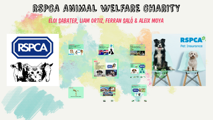 RSPCA ORGANISATION by Eloi Sabater on Prezi