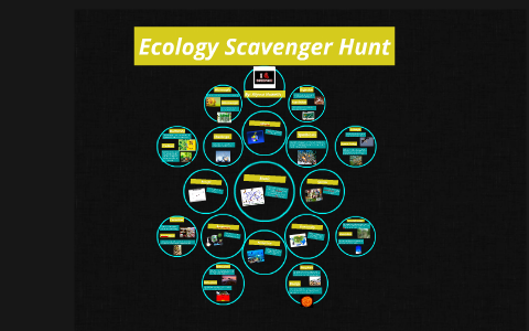 Ecology Scavenger Hunt by alyssa howells on Prezi