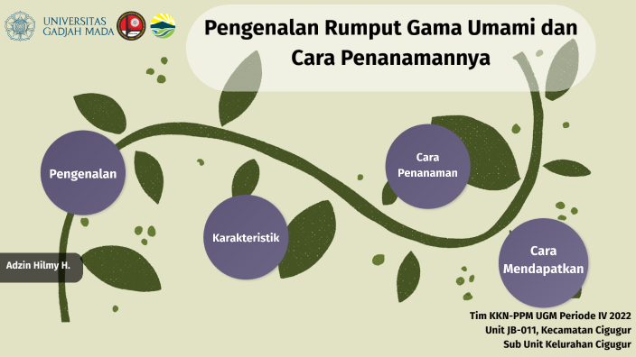 Pengenalan Rumput Gama Umami dan Cara Penanamannya by Adzin Hilmy on Prezi