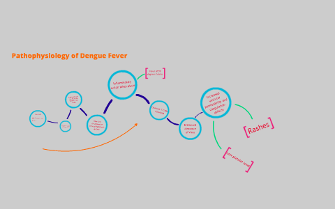 Pathophysiology of Dengue Fever by Sundae Sibi on Prezi
