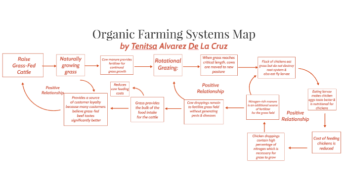 Organic Farming Cause Map by Tenitsa Alvarez on Prezi