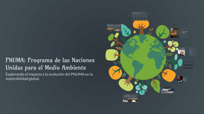 PNUMA: Programa de las Naciones Unidas para el Medio Ambiente by ...