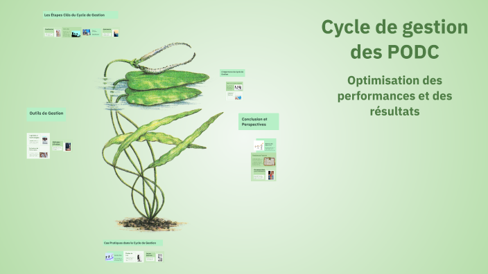 Cycle de gestion des PODC by Marcel Thibodeau on Prezi