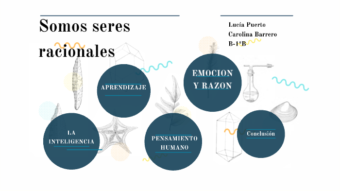 SERES RACIONALES by Lucía Puerto Sánchez on Prezi