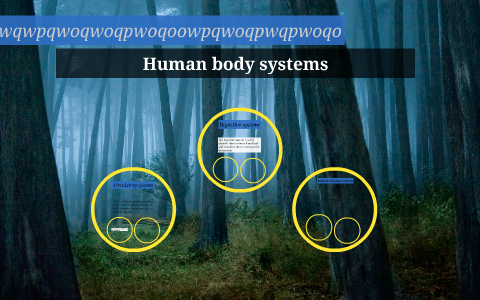 Circulatory system by Brody Reece-Waller on Prezi