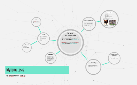 Myxomatosis by Dayna Parks-Healey on Prezi
