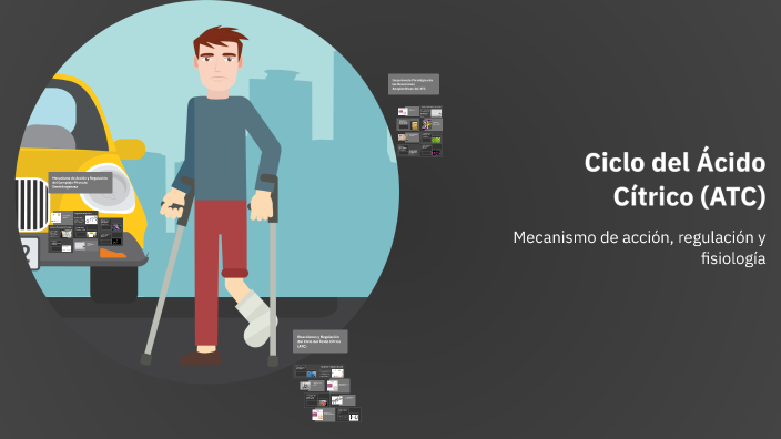 Ciclo del Ácido Cítrico (ATC) by Hellen Ivett Soto Castillo on Prezi