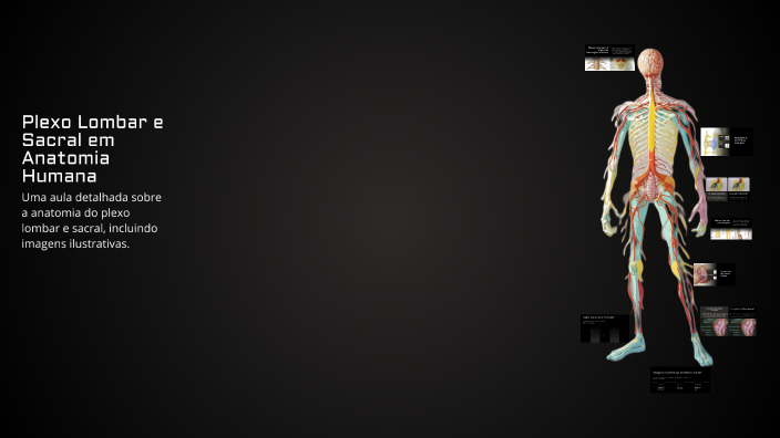 Plexo Lombar e Sacral em Anatomia Humana by ROSANA ANZOLIN on Prezi
