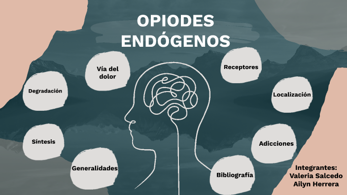 Opioides Endogenos Basic Opioid Pharmacology: An Update Hasan