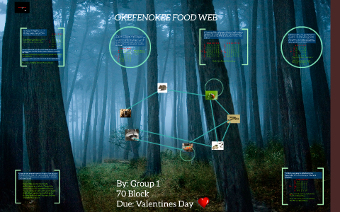 OKEFENOKEE FOOD WEB by jade biggs on Prezi