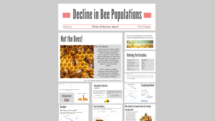 Decline in Bee Populations by Rebecca Peffer on Prezi