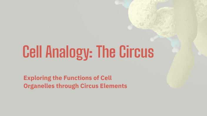 Cell Analogy: The Circus by Z C on Prezi