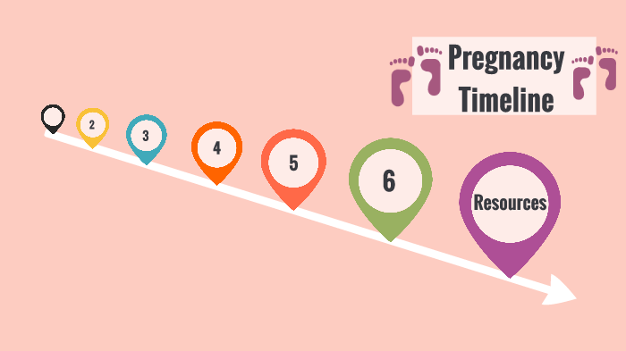 Pregnancy Timeline by rachel c on Prezi