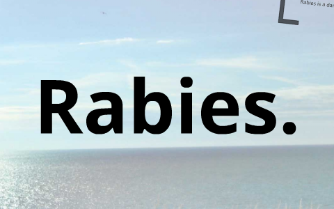 Rabies by Rachel Hutt on Prezi