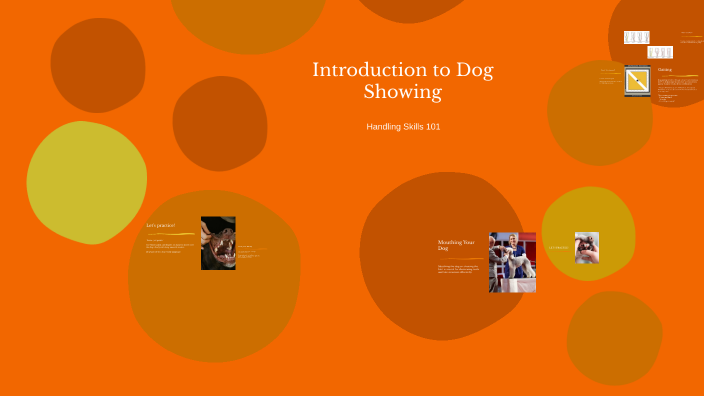 Mastering Dog Show Handling by Samara Hinton on Prezi