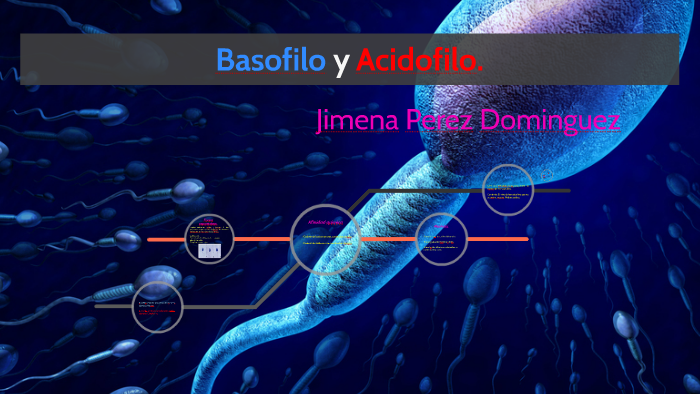 Basofilo y Acidofilo. by JIMENA PEREZ on Prezi