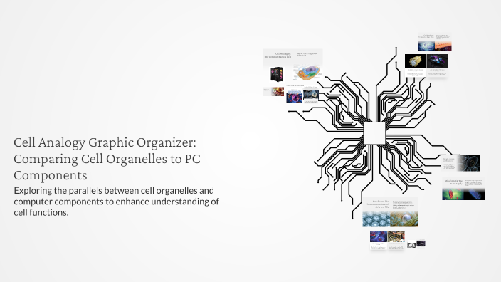 Cell Analogy Graphic Organizer: Comparing Cell Organelles to PC ...