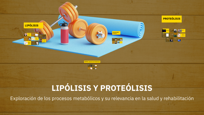 LIPÓLISIS Y PROTEÓLISIS by Paula Elena Fuentes García on Prezi