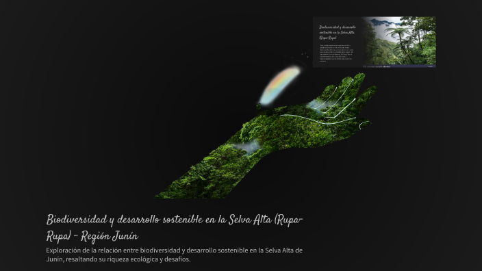 Biodiversidad y desarrollo sostenible en la Selva Alta (Rupa-Rupa ...
