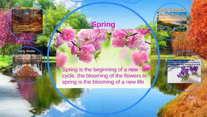 7 Stages Of Man by Cynthia R on Prezi