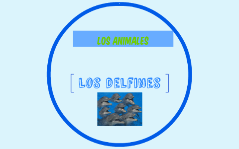 Los animales by Sarahi Amaya on Prezi