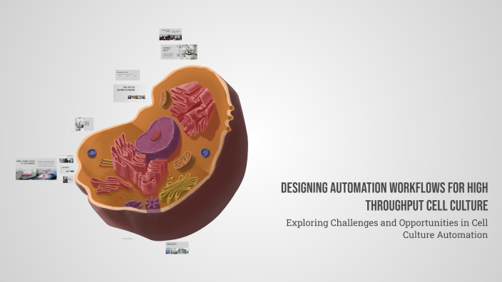 Designing Automation Workflows for High Throughput Cell Culture by ...
