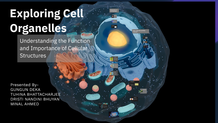 Exploring Cell Organelles by DIYA on Prezi