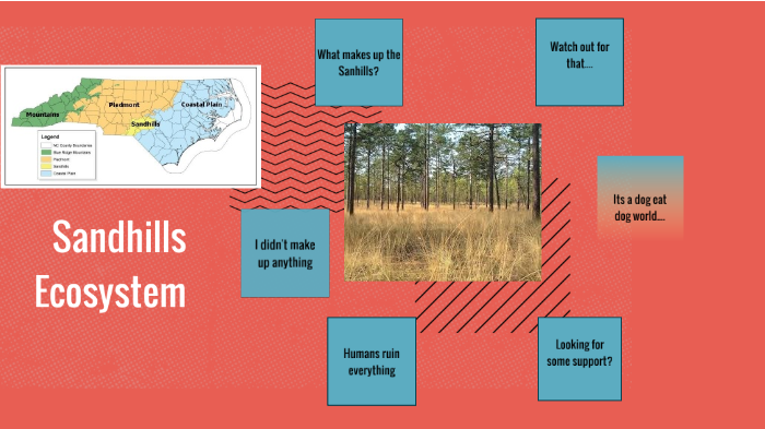 Sandhills Ecosystem by Christina Dalamangas on Prezi