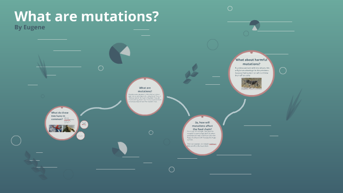 How will mutations affect the food chain? by Eugene Bautista on Prezi Next